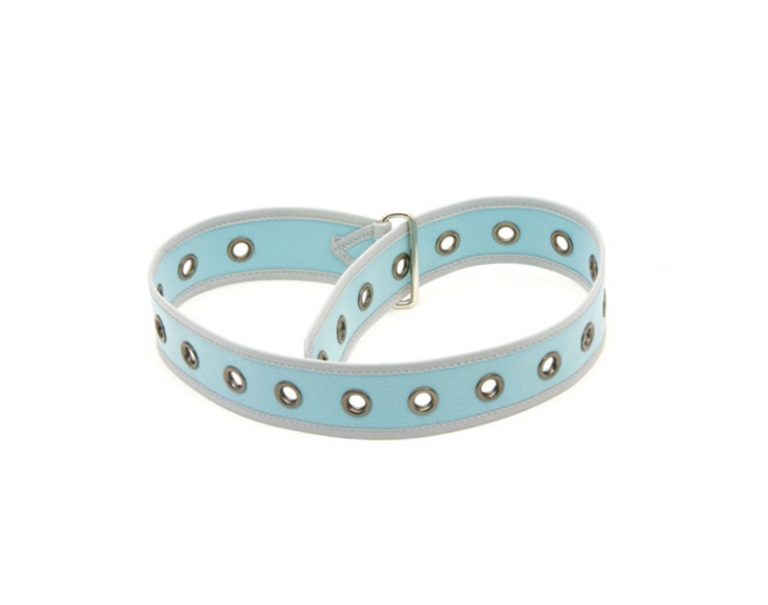 Pinel restraint belt system | EM International